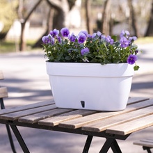 Вазон SANTINO Asti Window Box 12 л White-Black (2021489) ᐉ купити в ...