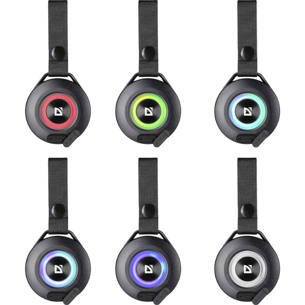 Портативна акустика DEFENDER Enjoy 20 3Вт Black (65920) ᐉ купити в ...